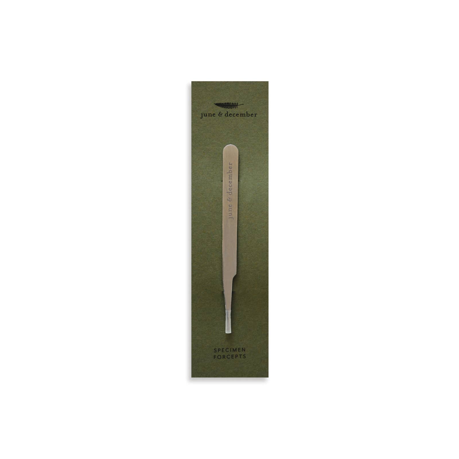 Botanical Specimen Forceps / Stainless