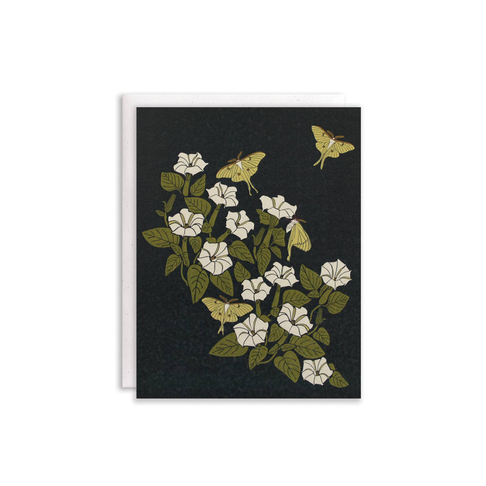 Luna Moon Moth Cards | Set of 8 with Envelopes